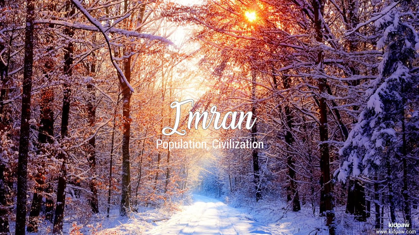 Imran Name Meaning in English & Urdu, Origin, Luck Number