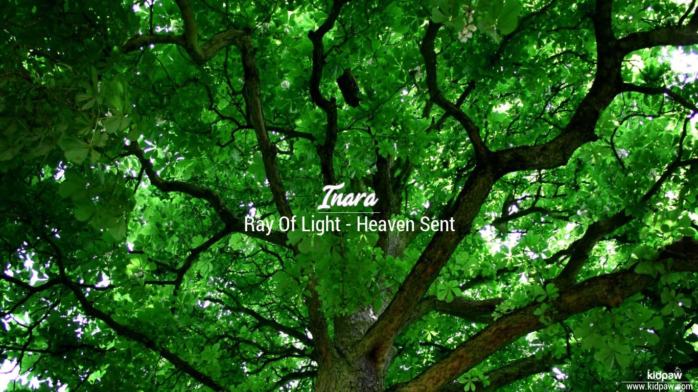 Inara 3D Name Wallpaper for Mobile, Write انارا Name on Photo Online