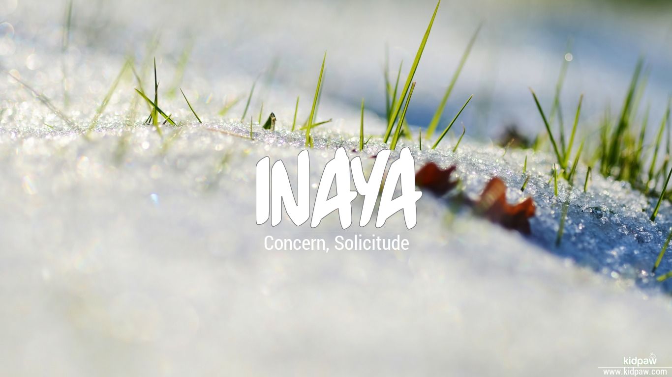 Inaya Name Meaning in English & Urdu, Origin, Luck Number
