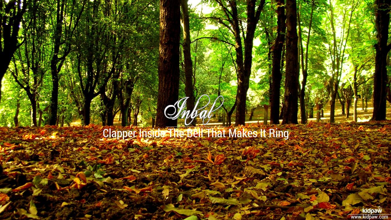 Inbal 3D Name Wallpaper for Mobile, Write Name on Photo Online