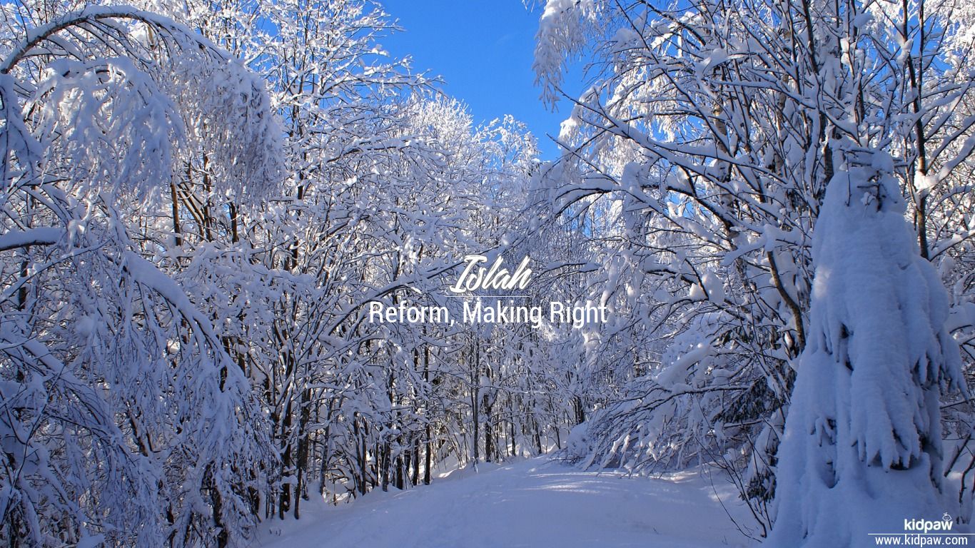 Islah 3D Name Wallpaper for Mobile, Write اصلاح Name on Photo Online