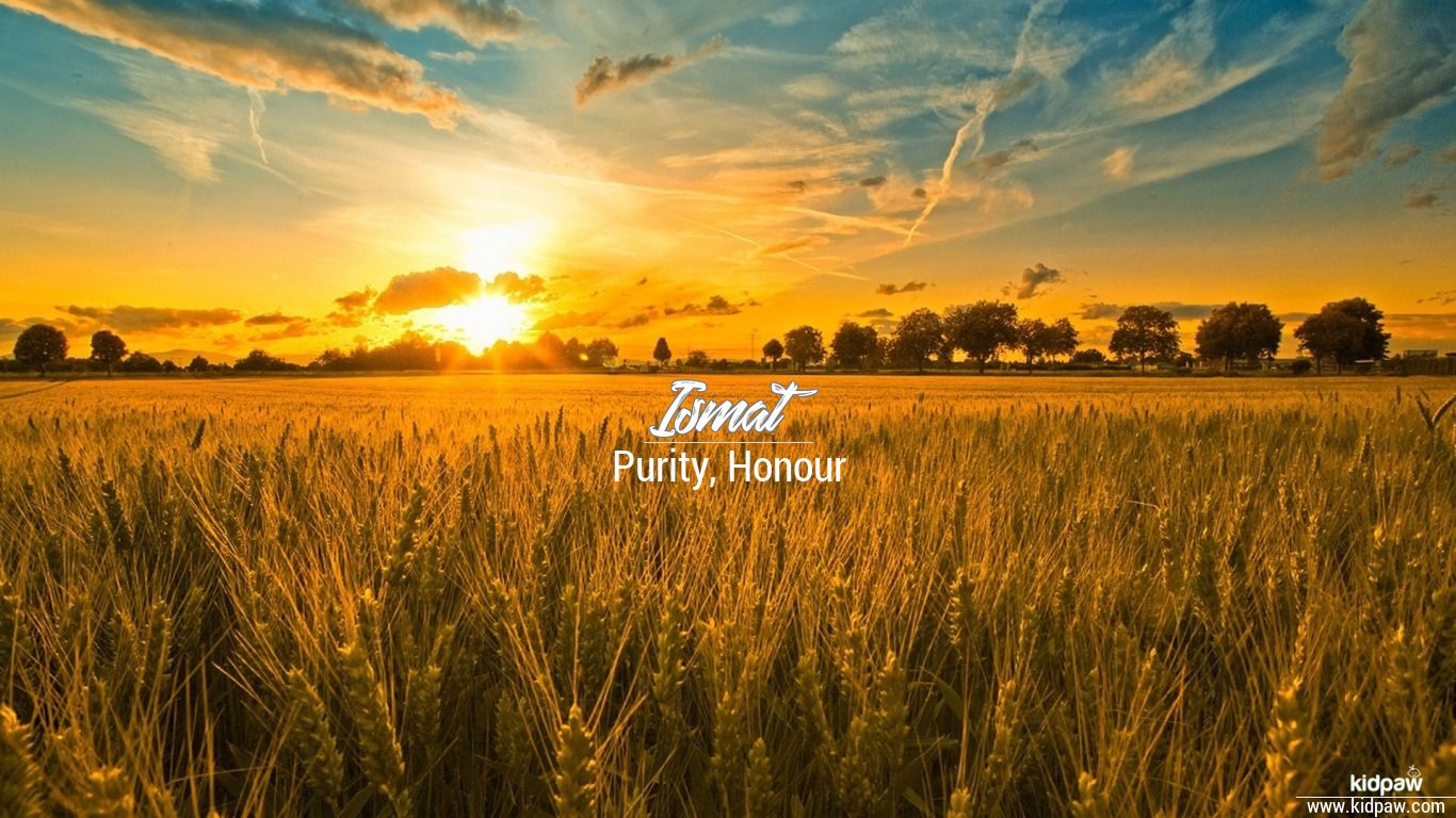 Ismat 3D Name Wallpaper for Mobile, Write عصمت Name on Photo Online