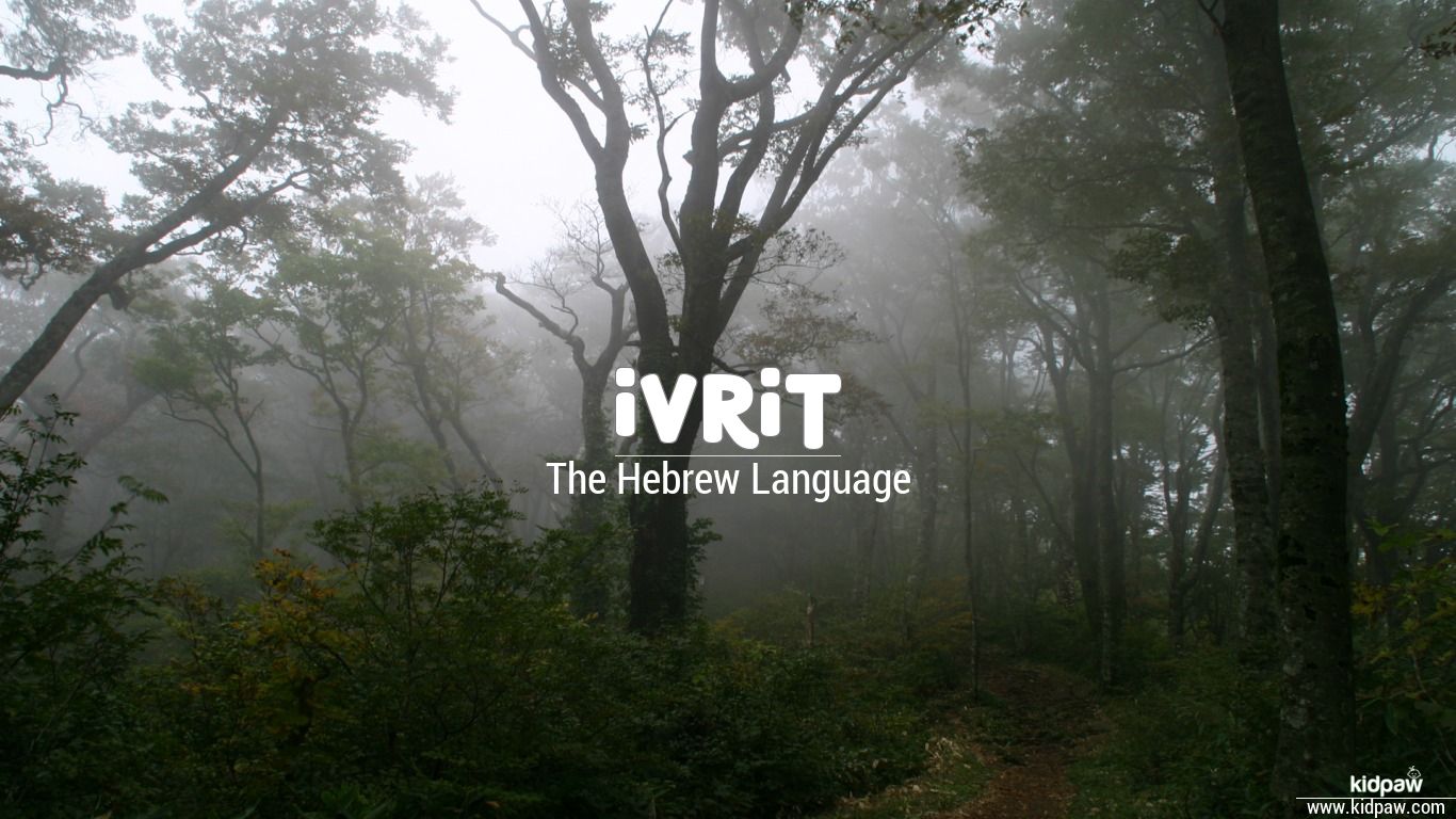 Ivrit 3D Name Wallpaper for Mobile, Write Name on Photo Online