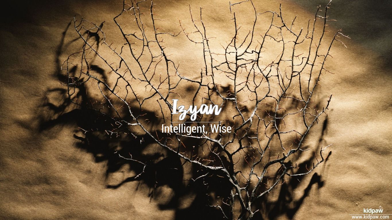 Izyan Name Meaning in English & Urdu, Origin, Luck Number