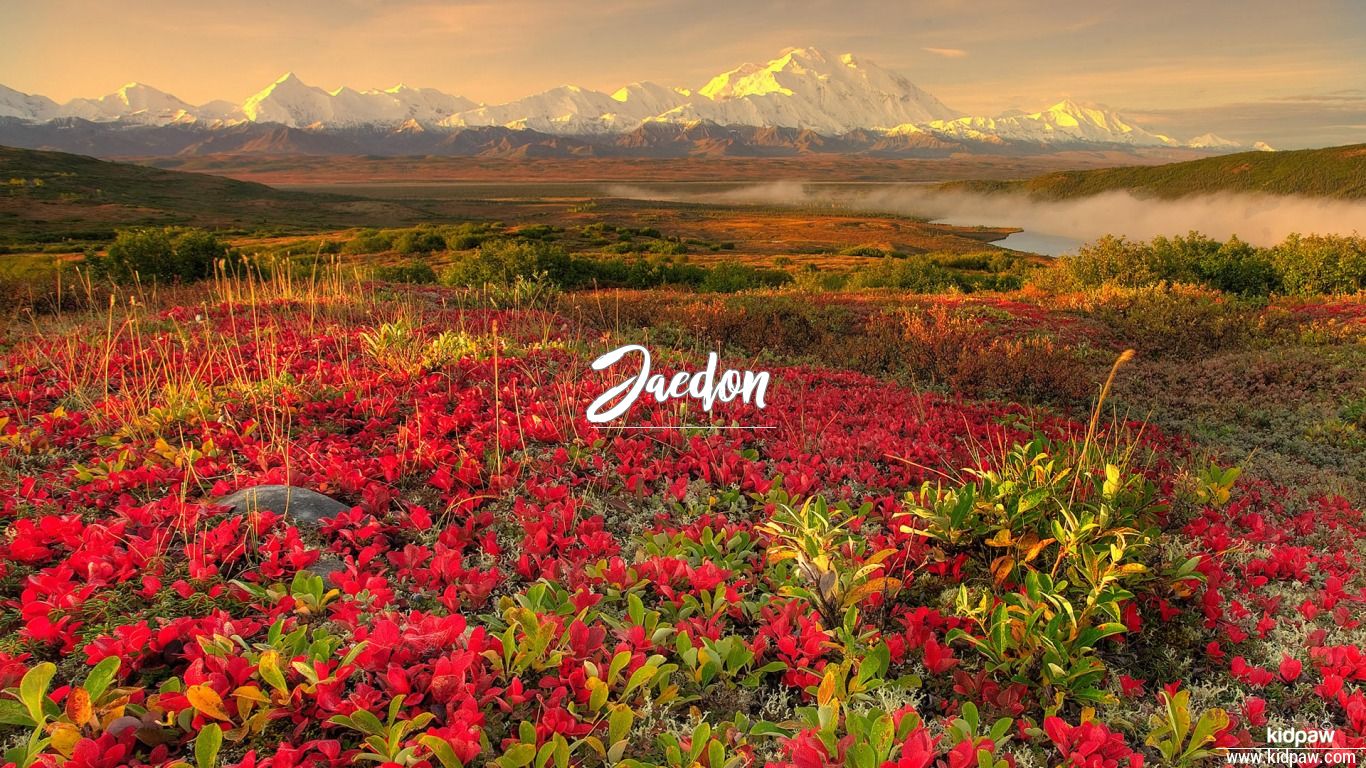 Jaedon 3D Name Wallpaper for Mobile, Write Name on Photo Online