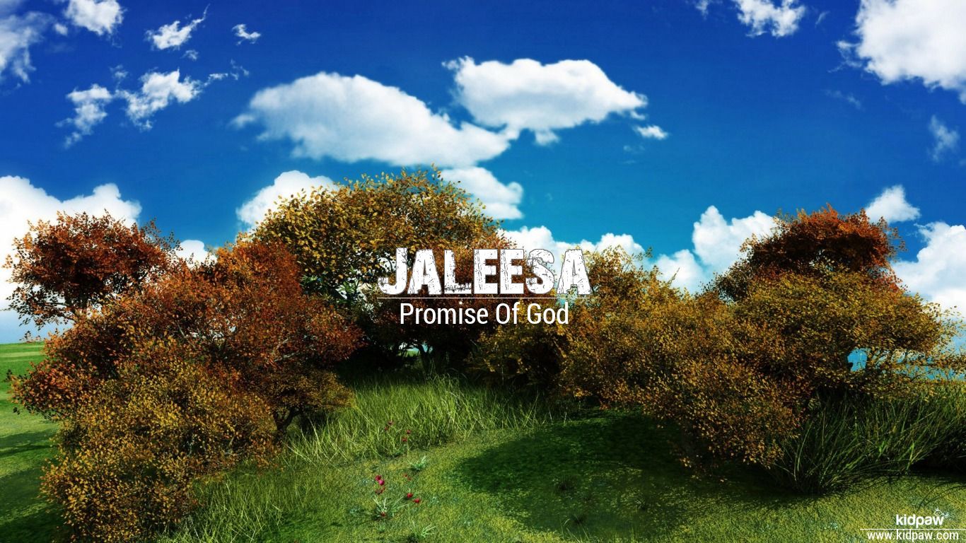 Jaleesa Meanings in English, Popularity, Origin