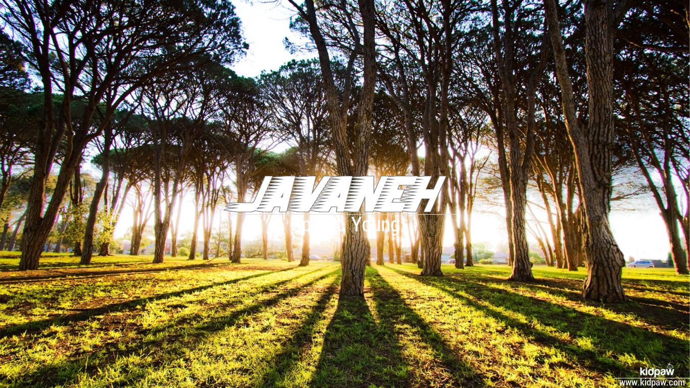 Javaneh 3D Name Wallpaper for Mobile, Write Name on Photo Online