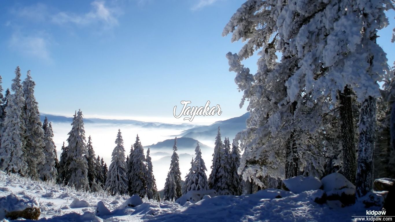 Jayakar 3D Name Wallpaper for Mobile, Write जयकार Name on Photo Online