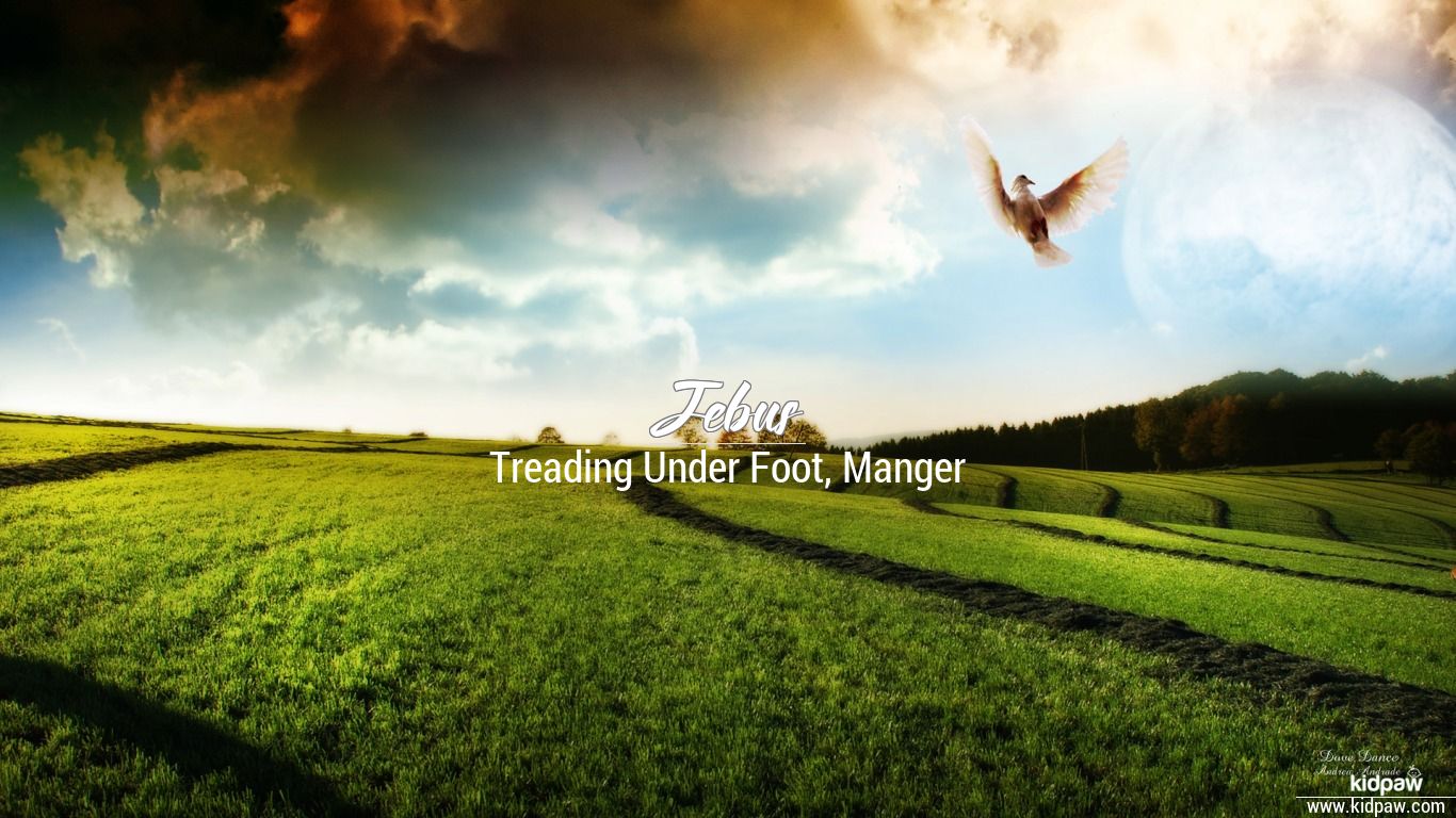 Jebus 3D Name Wallpaper for Mobile, Write Name on Photo Online