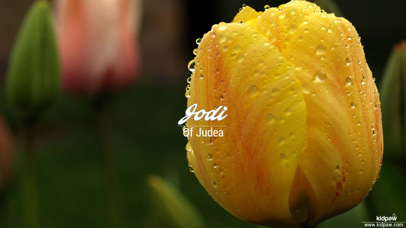 Jodi 3D Name Wallpaper for Mobile, Write Name on Photo Online
