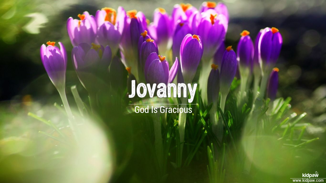 Jovanny 3D Name Wallpaper for Mobile, Write Name on Photo Online