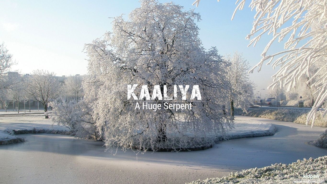 Kaaliya 3D Name Wallpaper for Mobile, Write कालिया Name on Photo Online