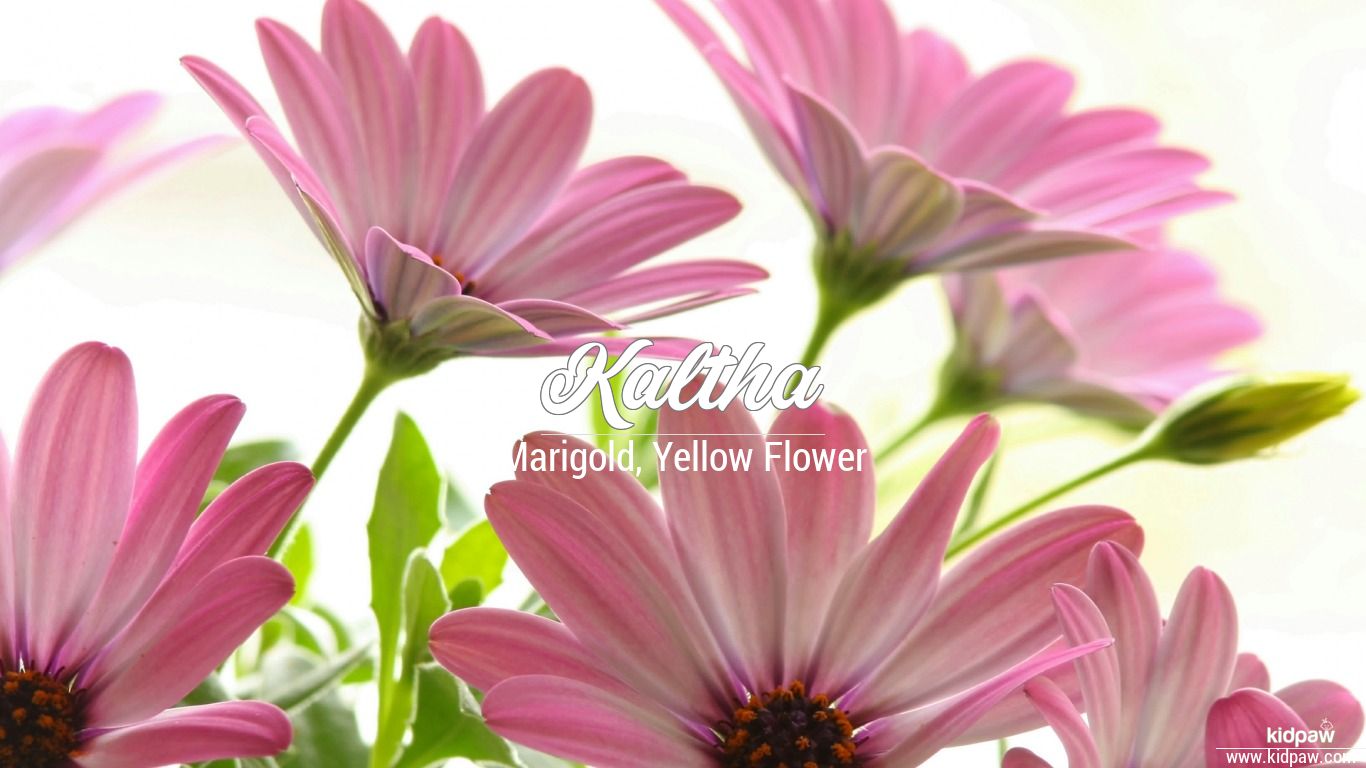 Kaltha 3D Name Wallpaper for Mobile, Write Name on Photo Online