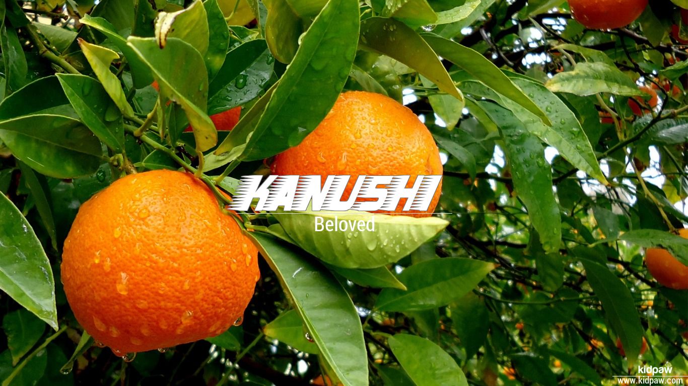 Kanushi 3D Name Wallpaper for Mobile, Write कानुशी Name on Photo Online