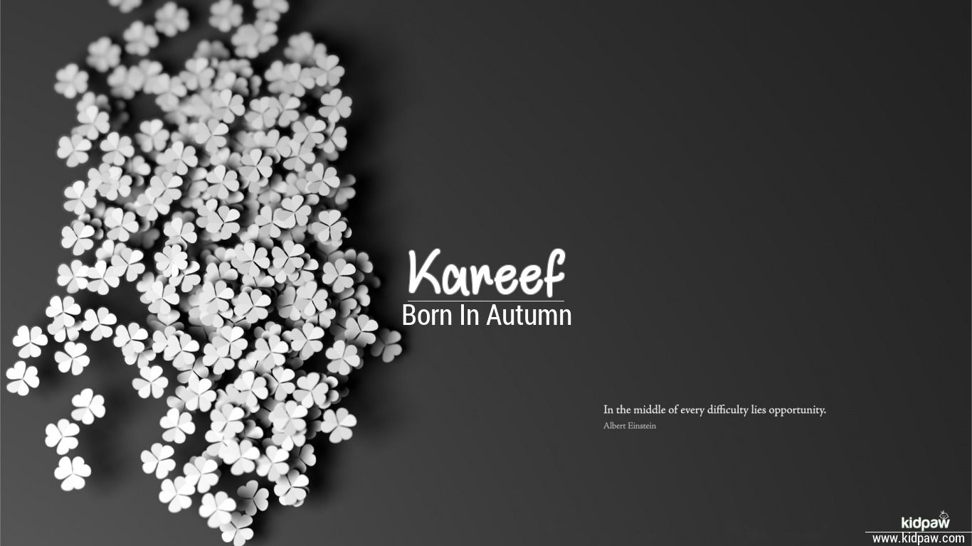Kareef 3D Name Wallpaper for Mobile, Write کریف Name on Photo Online