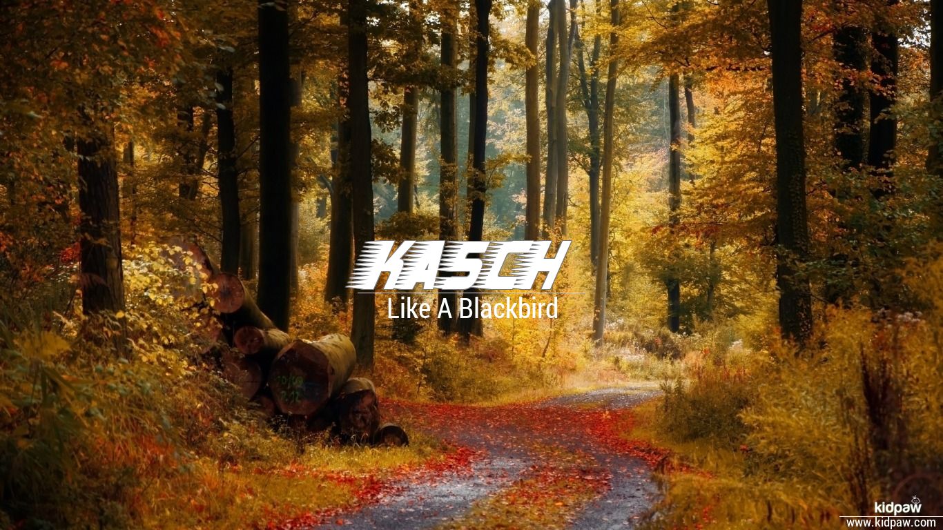 Kasch 3D Name Wallpaper for Mobile, Write Name on Photo Online