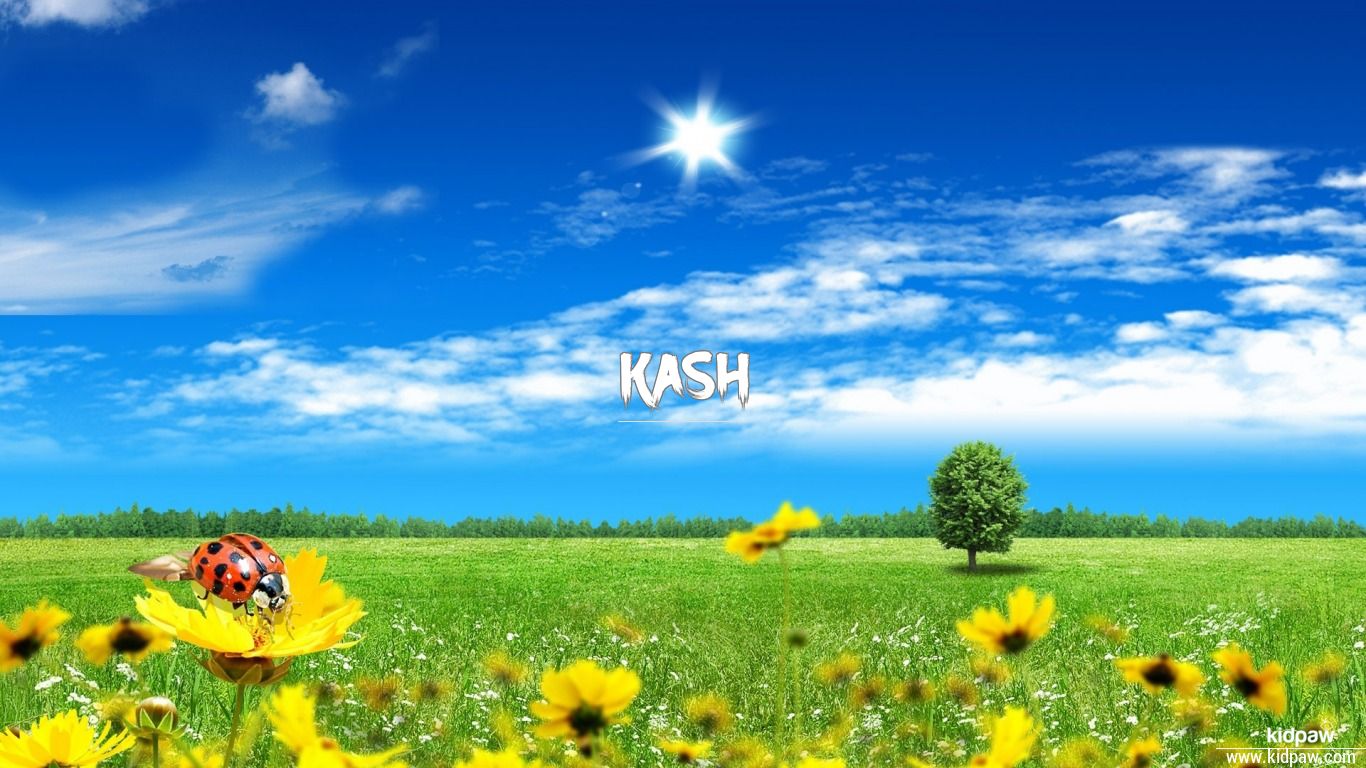 Kash 3D Name Wallpaper for Mobile, Write Name on Photo Online