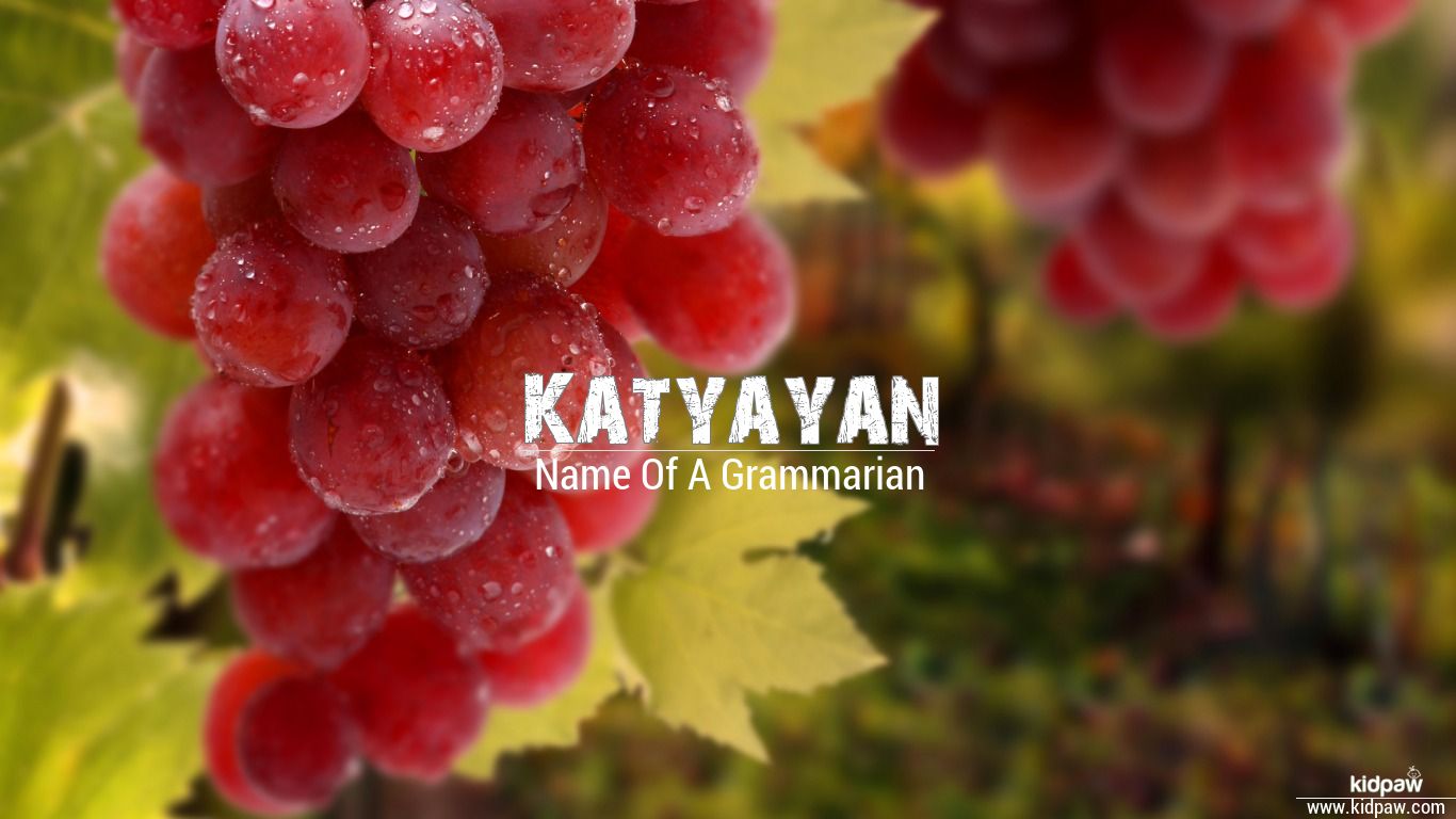 कात्यायन | Katyayan Name Meaning in Hindi & English, Rashi, Nakshatra ...