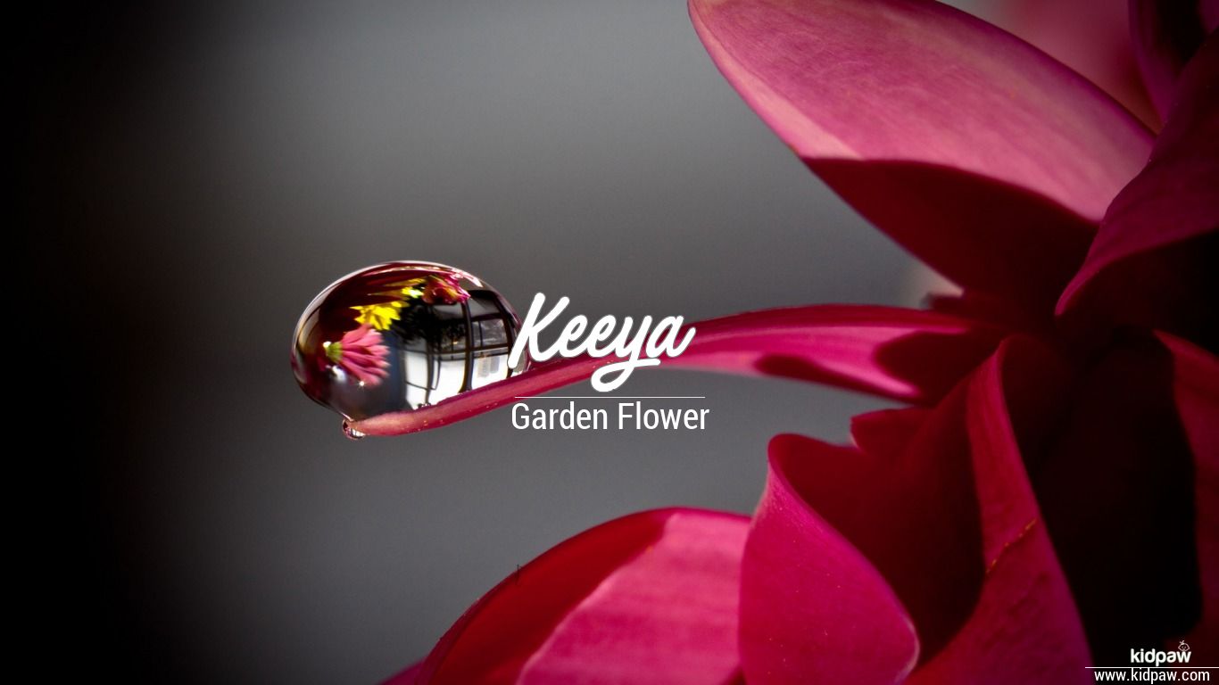 Keeya 3D Name Wallpaper for Mobile, Write Name on Photo Online