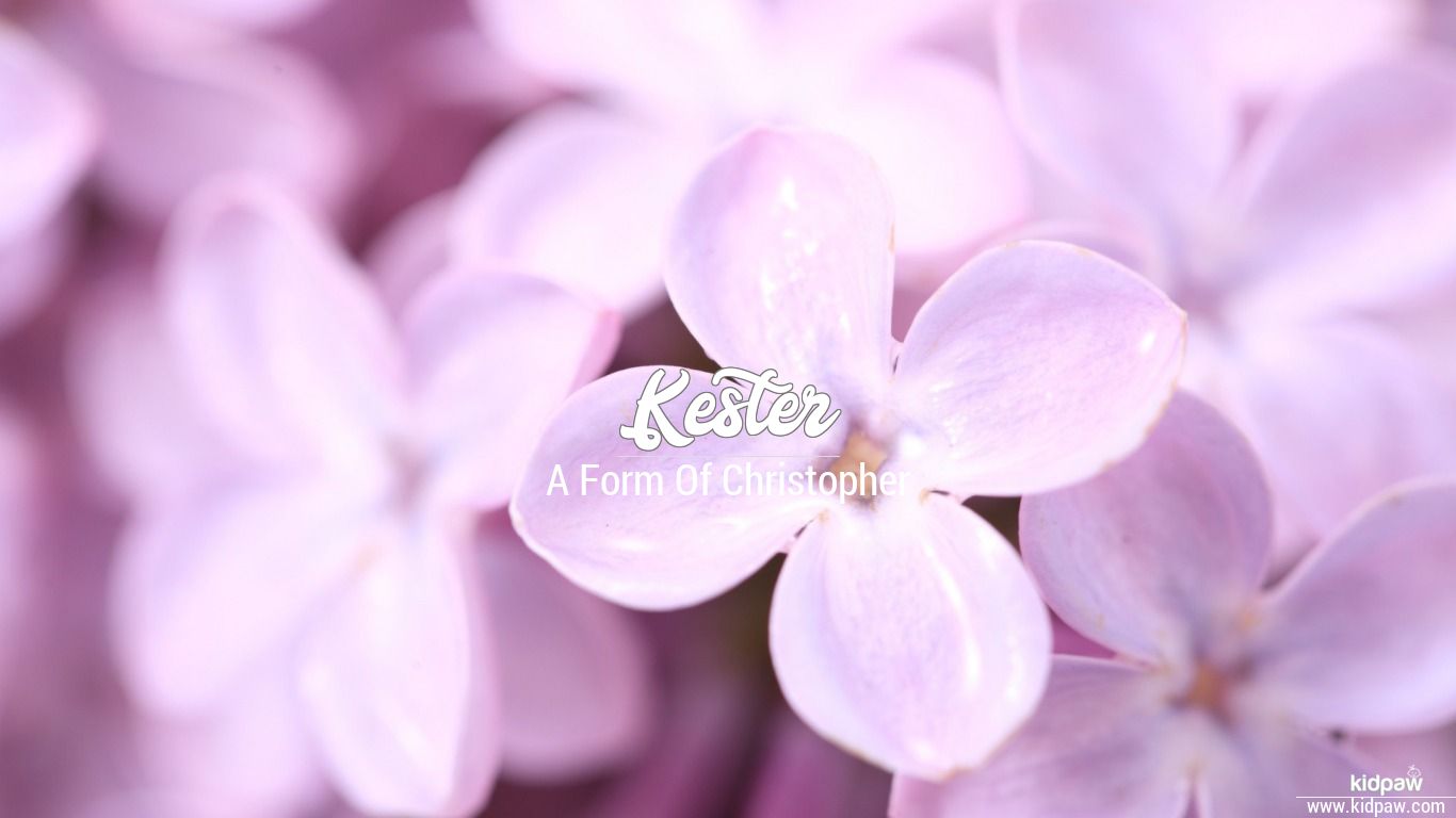 Kester 3D Name Wallpaper for Mobile, Write Name on Photo Online