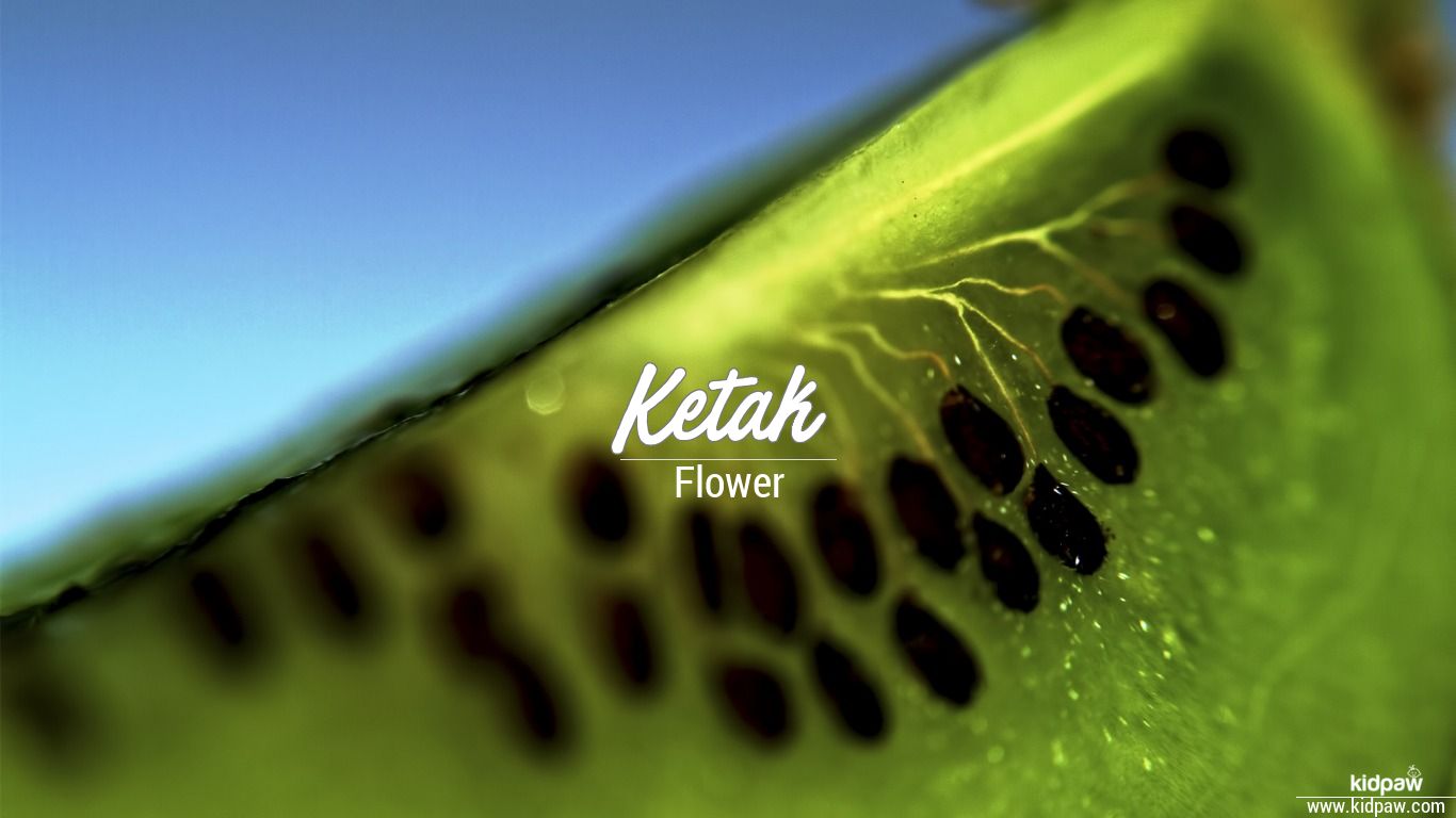 केतक | Ketak Name Meaning in Hindi & English, Rashi, Nakshatra, Origin ...