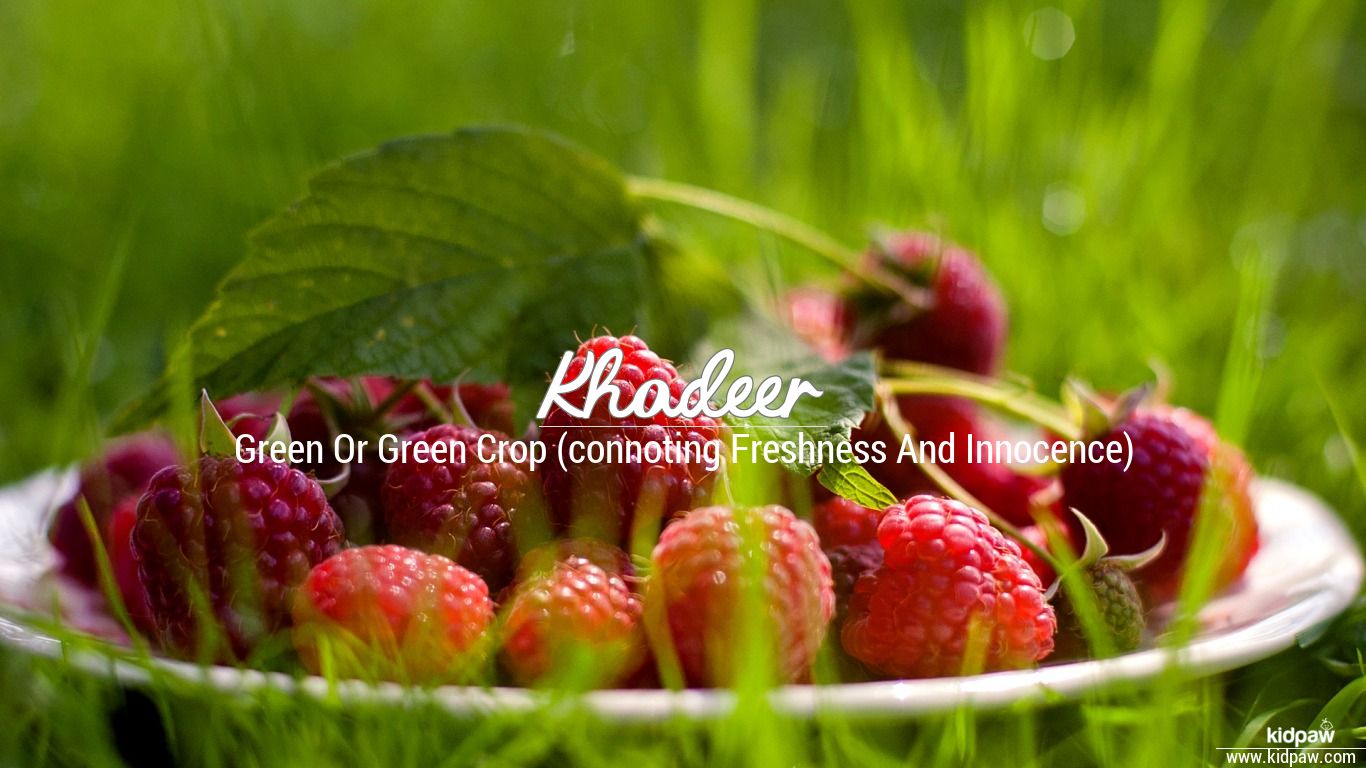 Khadeer 3D Name Wallpaper for Mobile, Write خدیر Name on Photo Online