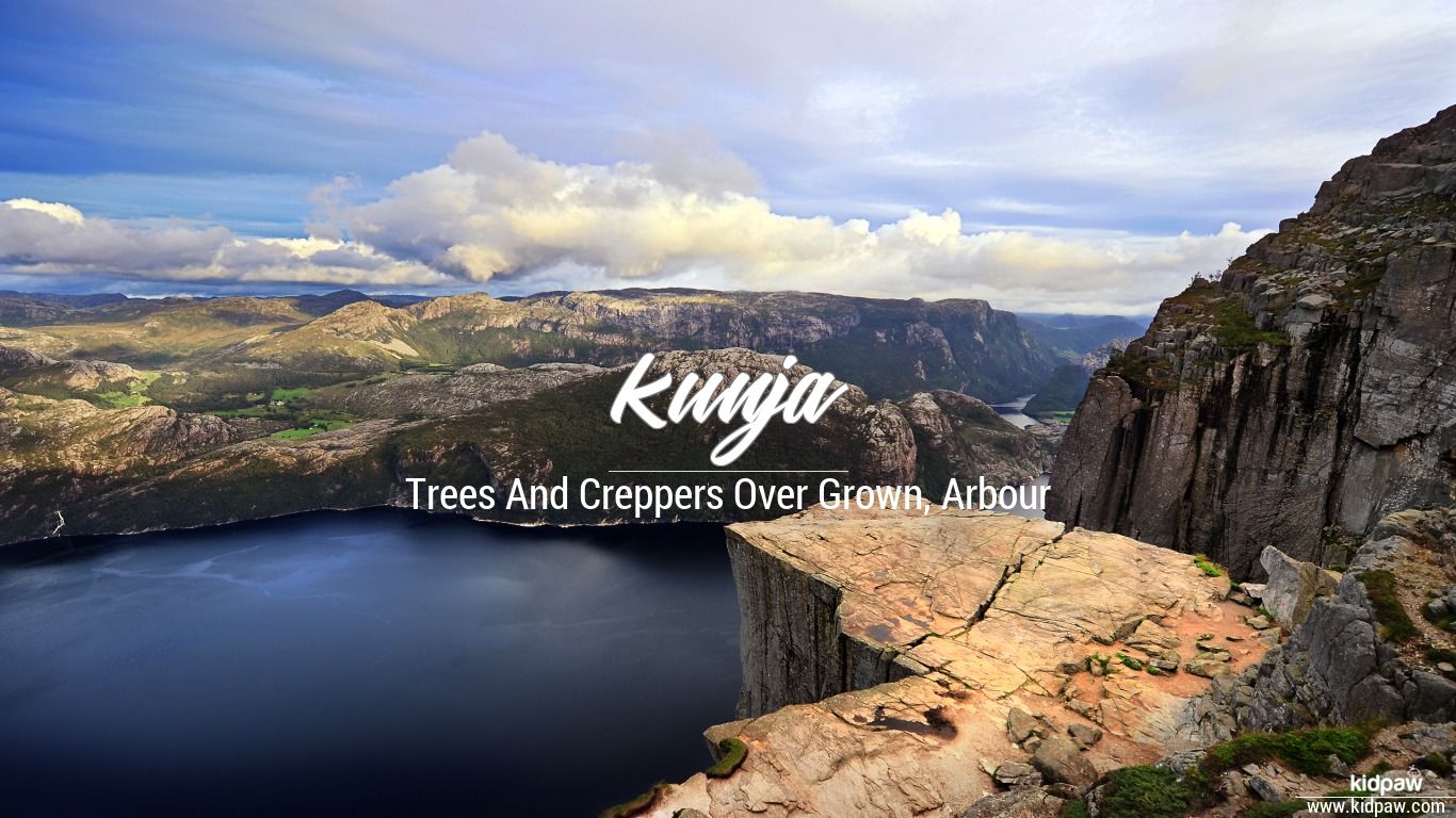 Kunja 3D Name Wallpaper for Mobile, Write कुंजा Name on Photo Online