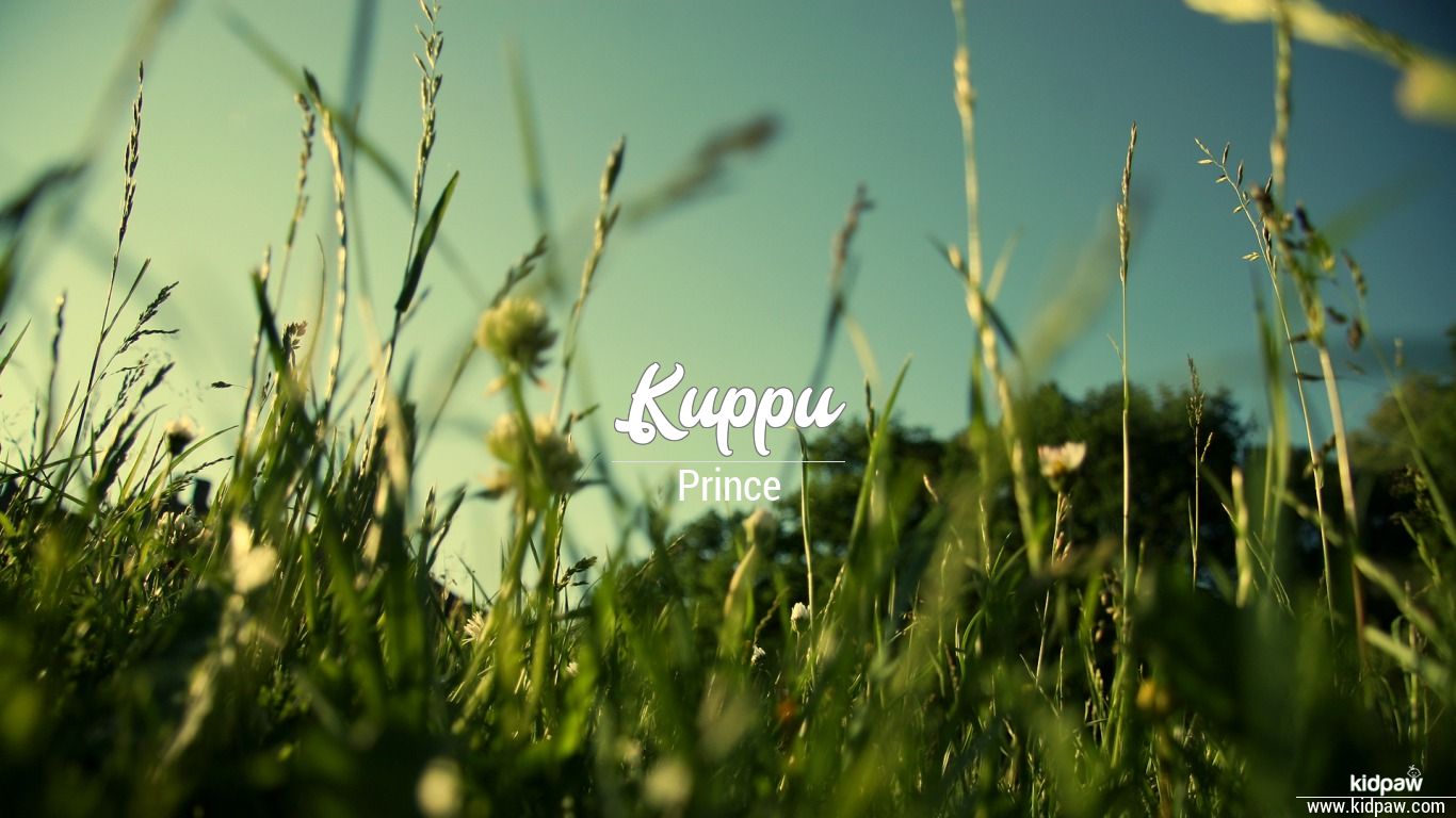 Kuppu 3D Name Wallpaper for Mobile, Write कुप्पु Name on Photo Online