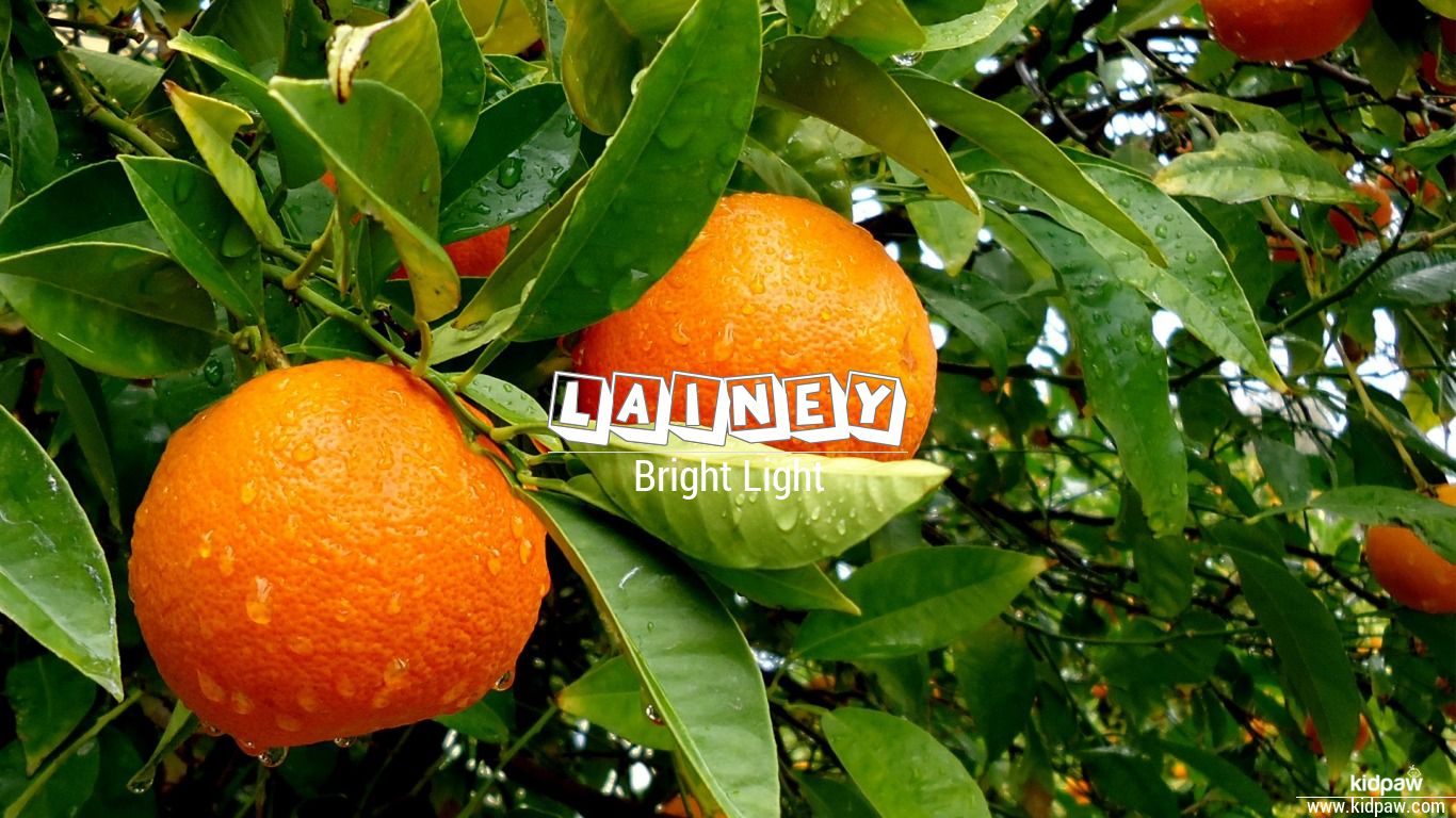 Lainey 3D Name Wallpaper for Mobile, Write Name on Photo Online