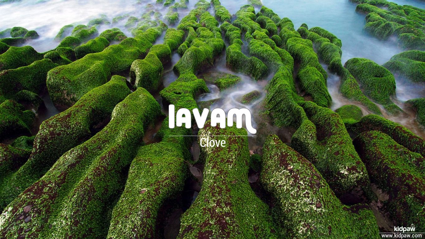 Lavam 3D Name Wallpaper for Mobile, Write लवाम Name on Photo Online