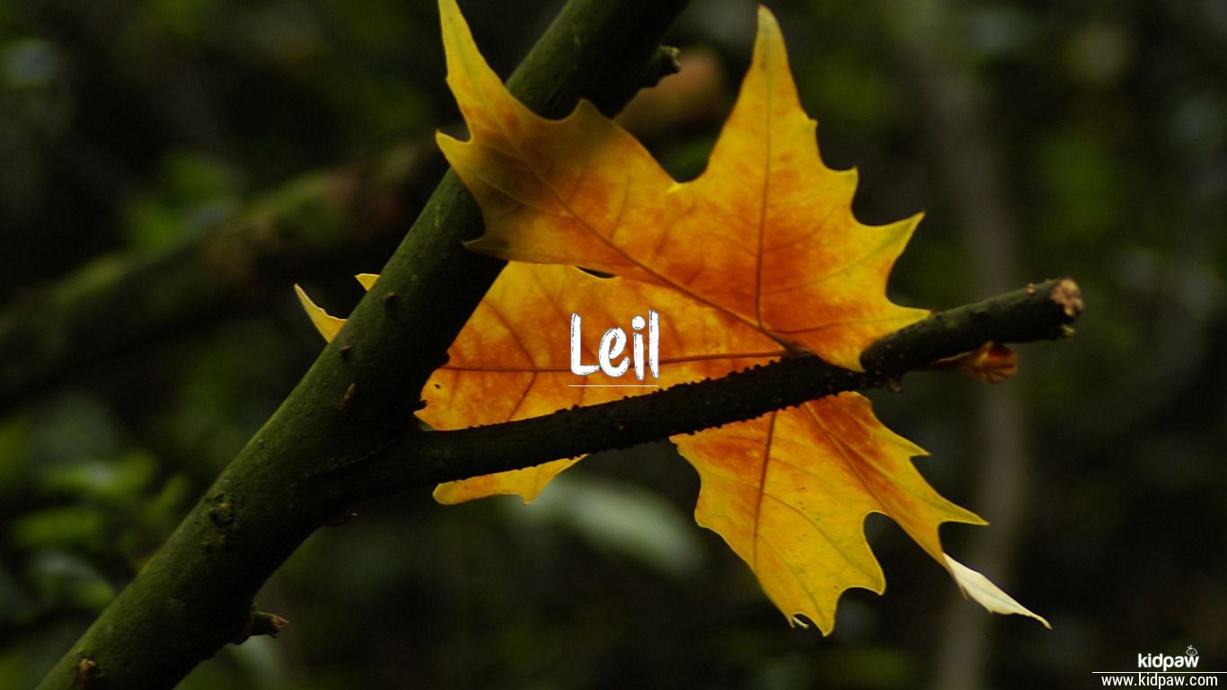 लेल | Leil Name Meaning in Hindi & English, Rashi, Nakshatra, Origin ...