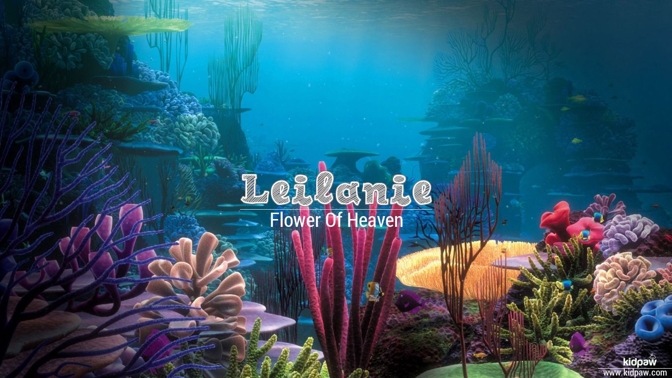 Leilanie 3D Name Wallpaper for Mobile, Write Name on Photo Online