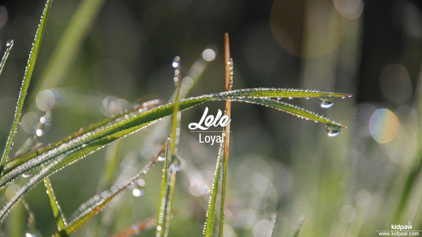 Lele Name Meaning in Urdu نام کی تفصیل، لکی نمبر