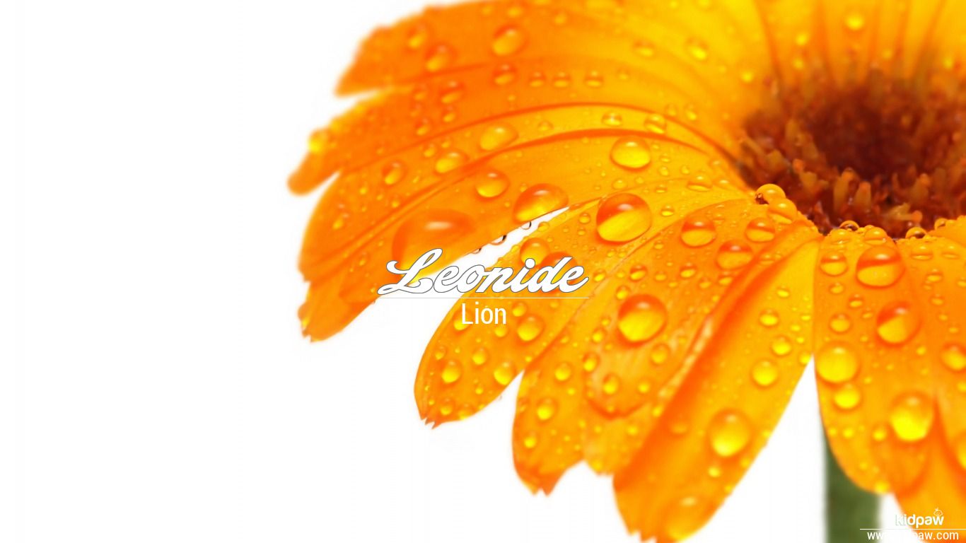 Leonide 3D Name Wallpaper for Mobile, Write Name on Photo Online