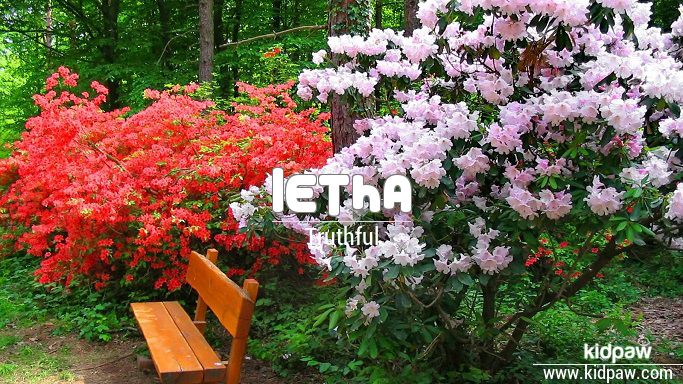 Letha 3D Name Wallpaper for Mobile, Write Name on Photo Online