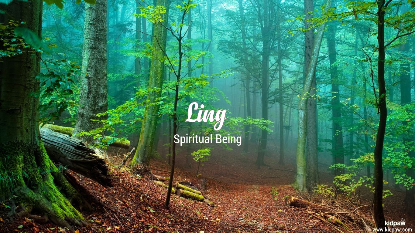 Ling 3D Name Wallpaper for Mobile, Write Name on Photo Online