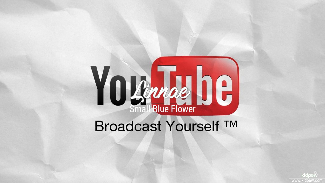 Linnae 3D Name Wallpaper for Mobile, Write Name on Photo Online