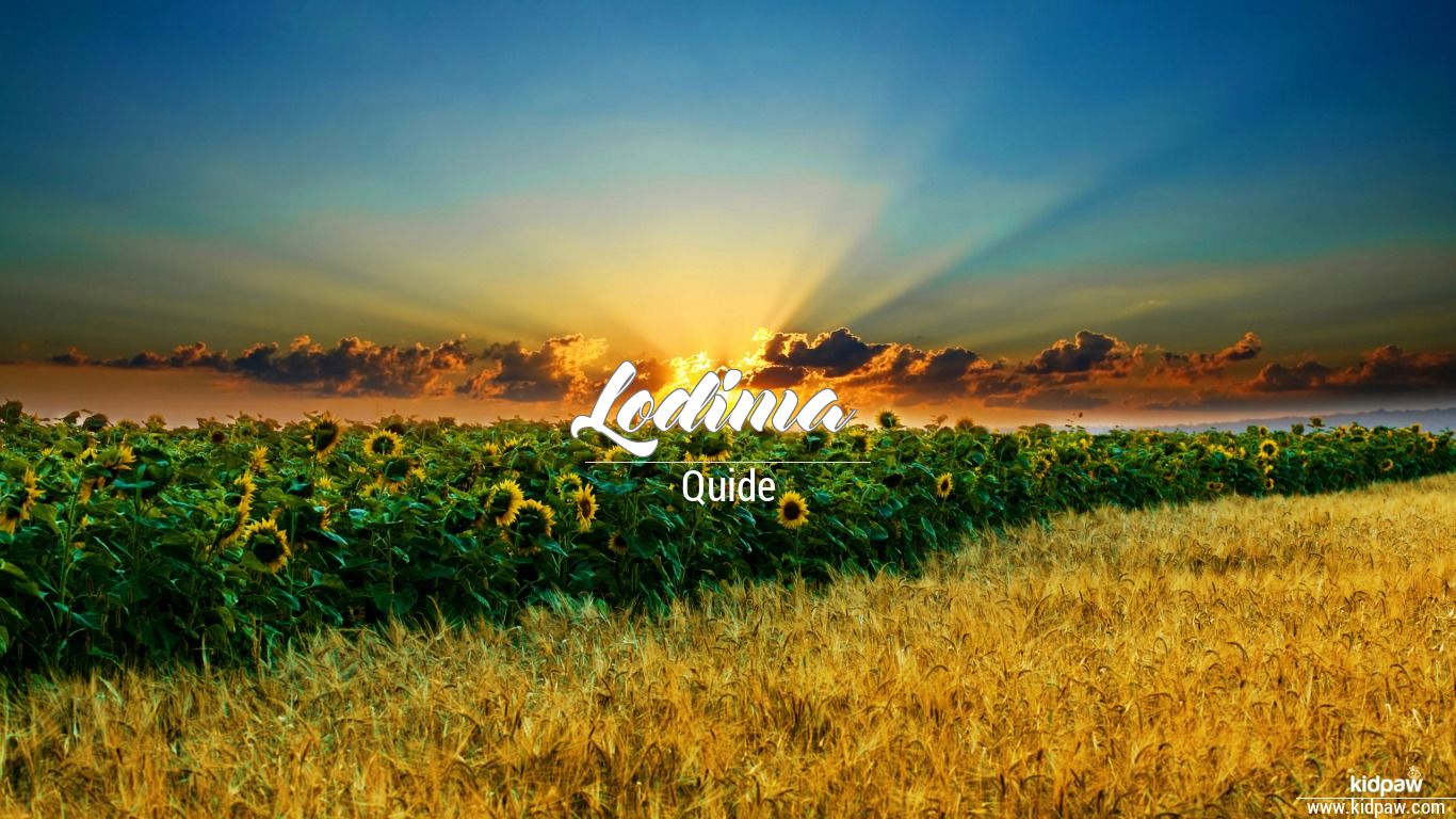 Lodima 3D Name Wallpaper for Mobile, Write Name on Photo Online