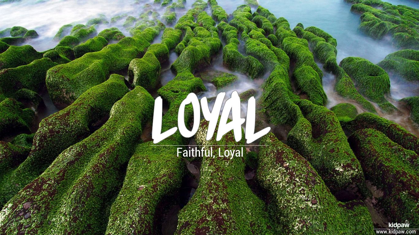 Loyal 3D Name Wallpaper for Mobile, Write Name on Photo Online