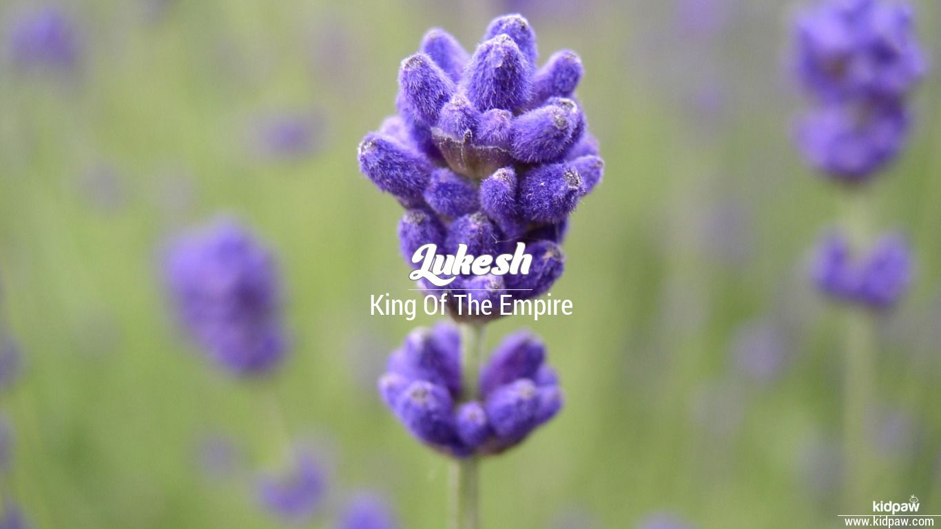 Lukesh 3D Name Wallpaper for Mobile, Write लुकेश Name on Photo Online