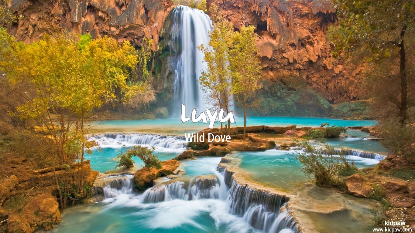 Luyu 3D Name Wallpaper for Mobile, Write Name on Photo Online