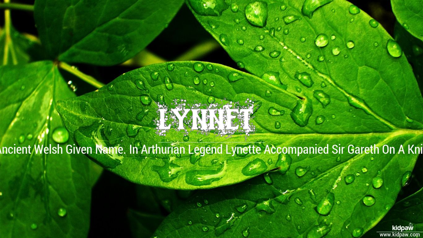 Lynnet 3D Name Wallpaper for Mobile, Write Name on Photo Online