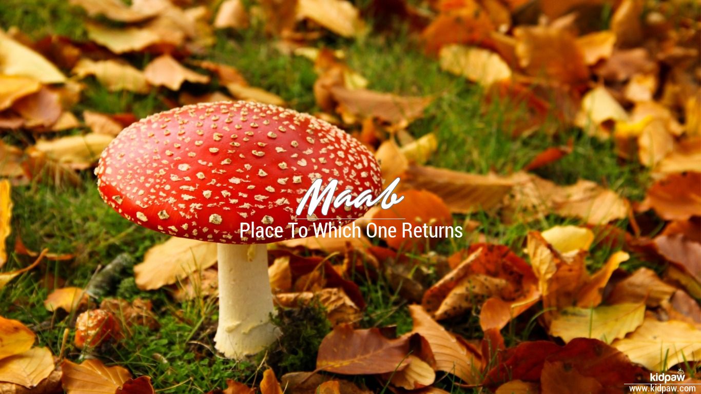 Maab 3D Name Wallpaper for Mobile, Write مآب Name on Photo Online