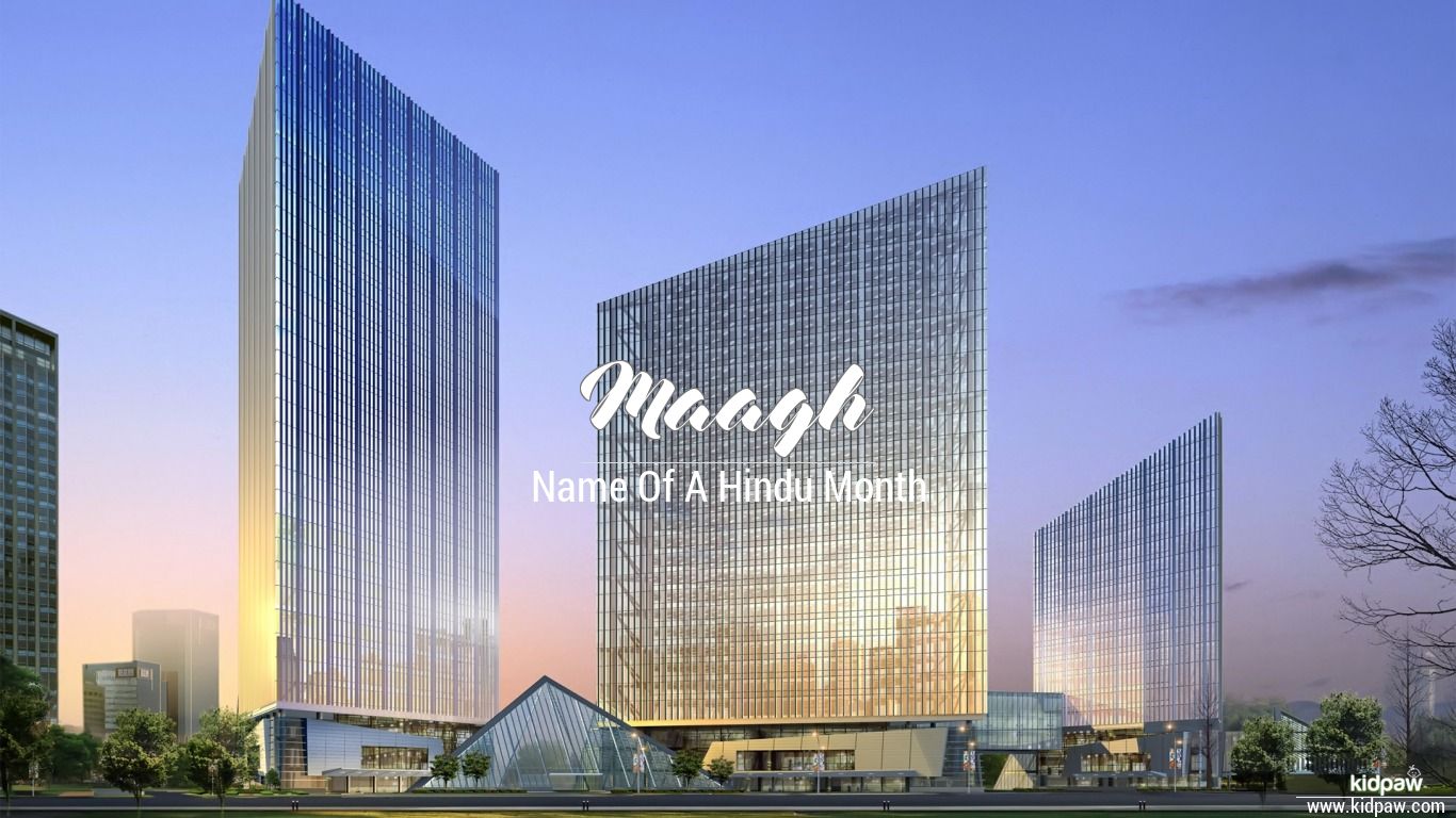 Maagh 3D Name Wallpaper for Mobile, Write माघ Name on Photo Online