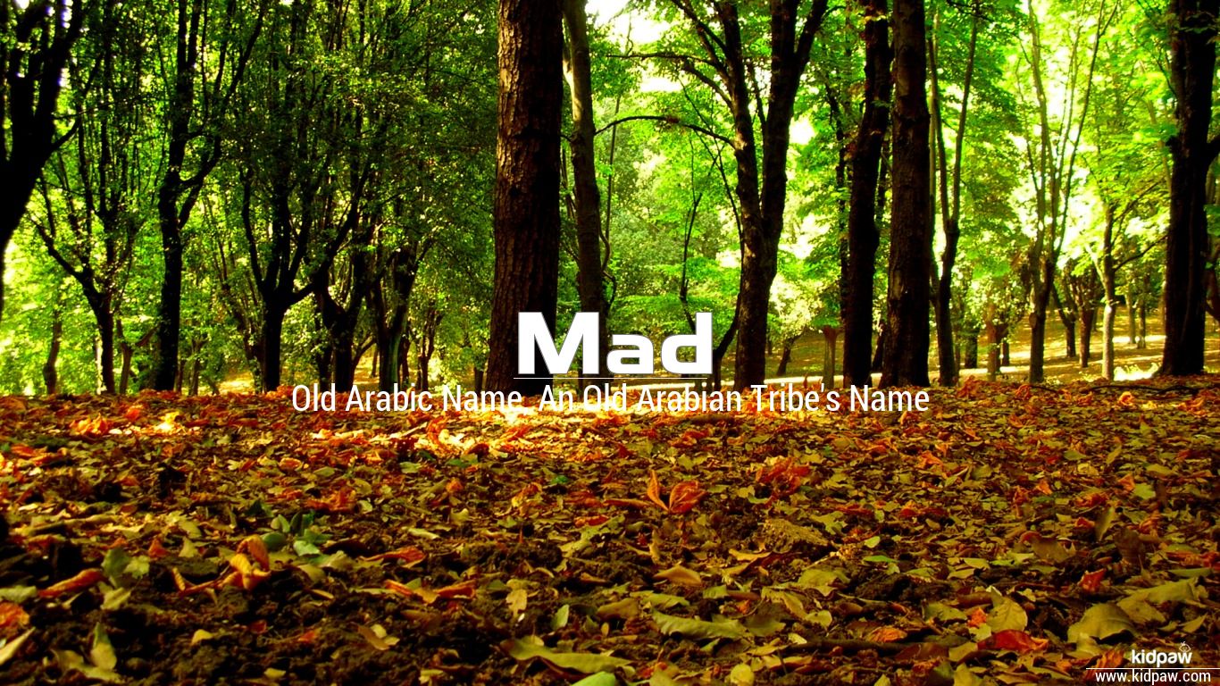 Mad 3D Name Wallpaper for Mobile, Write مد Name on Photo Online