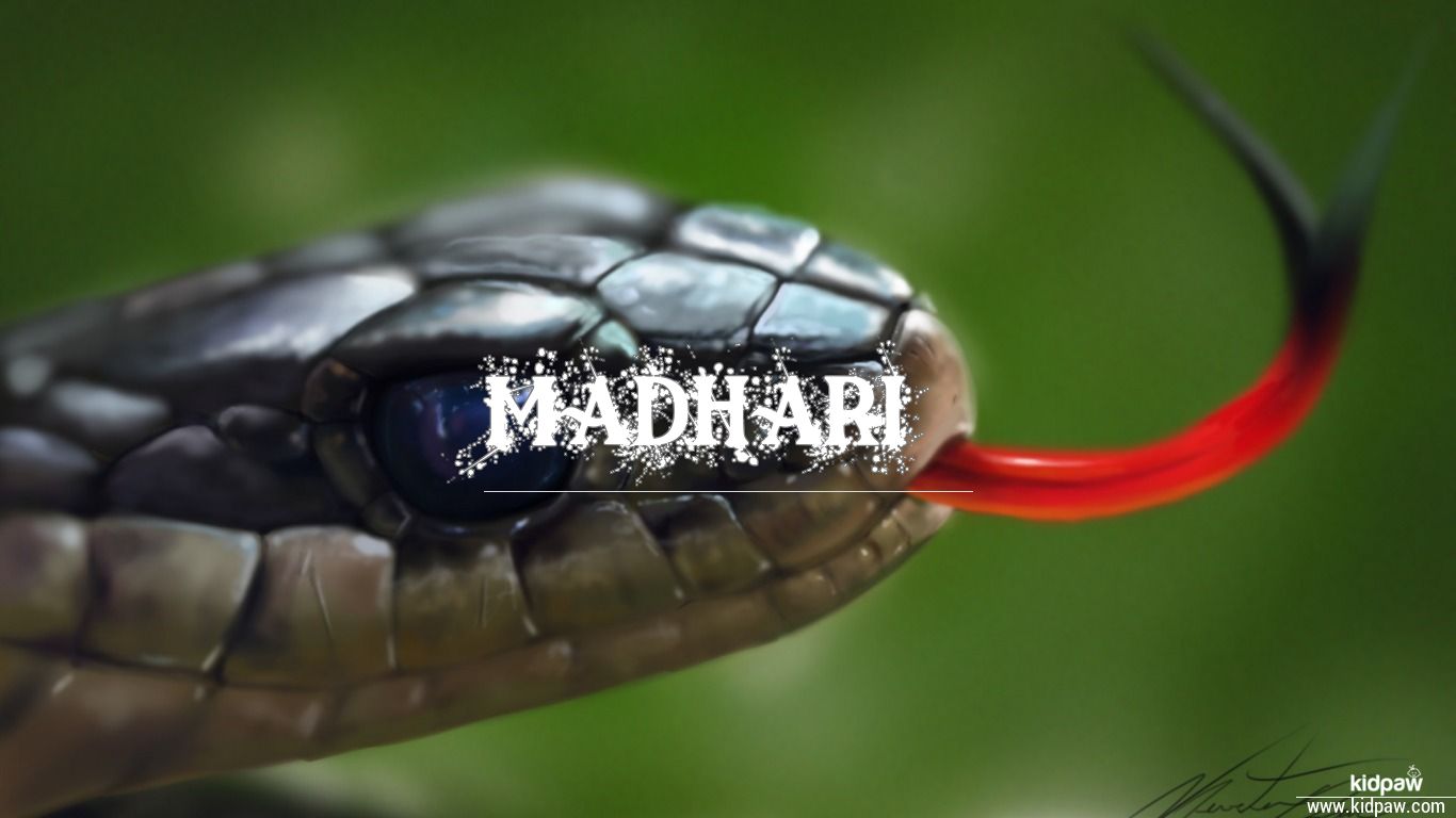 Madhari 3D Name Wallpaper for Mobile, Write माधारी Name on Photo Online