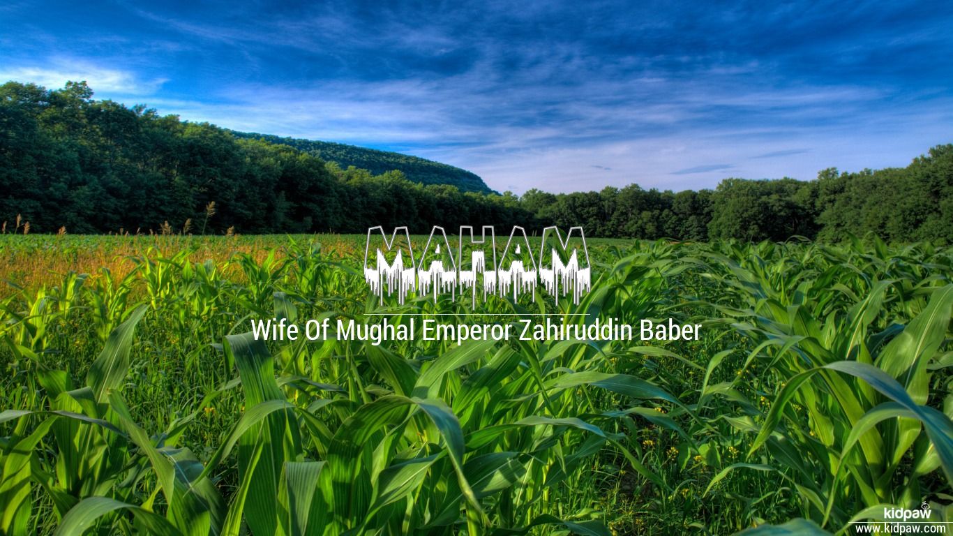 Maham Name Meaning in English & Urdu, Origin, Luck Number