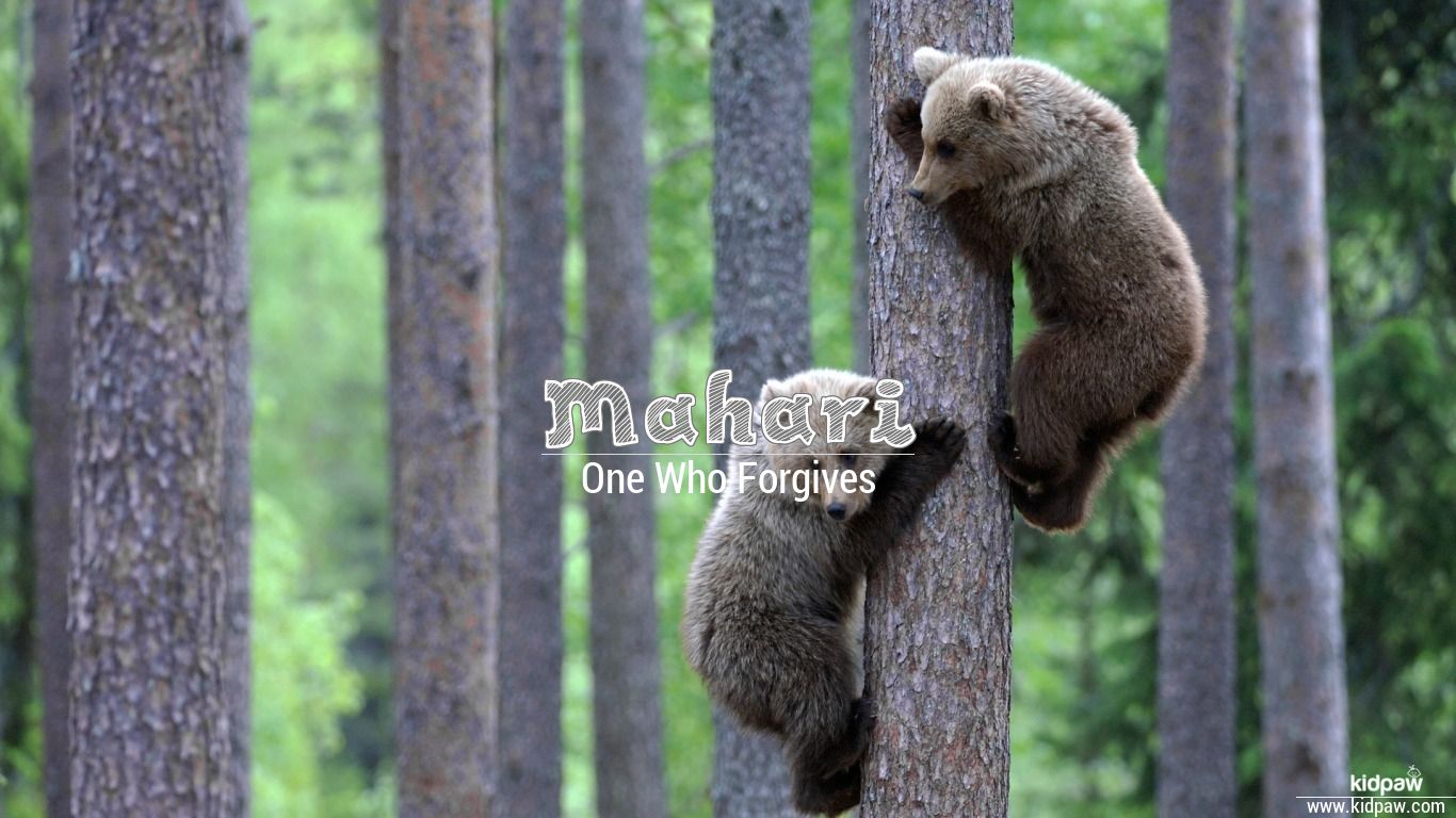 Mahari 3D Name Wallpaper for Mobile, Write Name on Photo Online