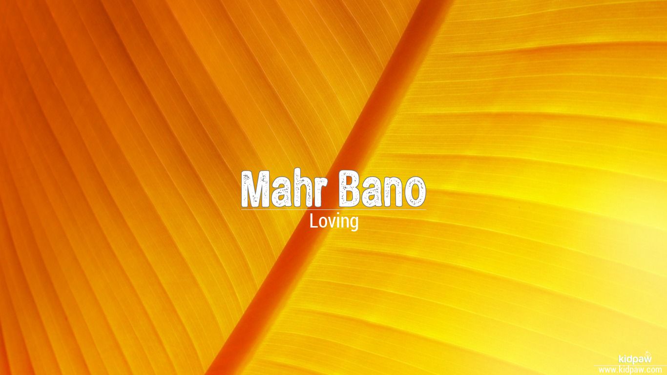 Mahr Bano Name Meaning in English & Urdu, Origin, Luck Number