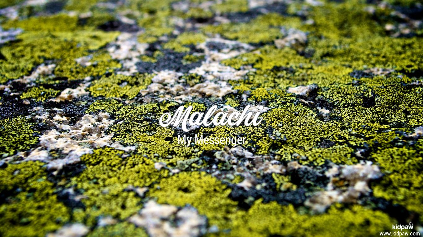 How to Pronounce Malachi in English, French, Spanish & 20 Different ...